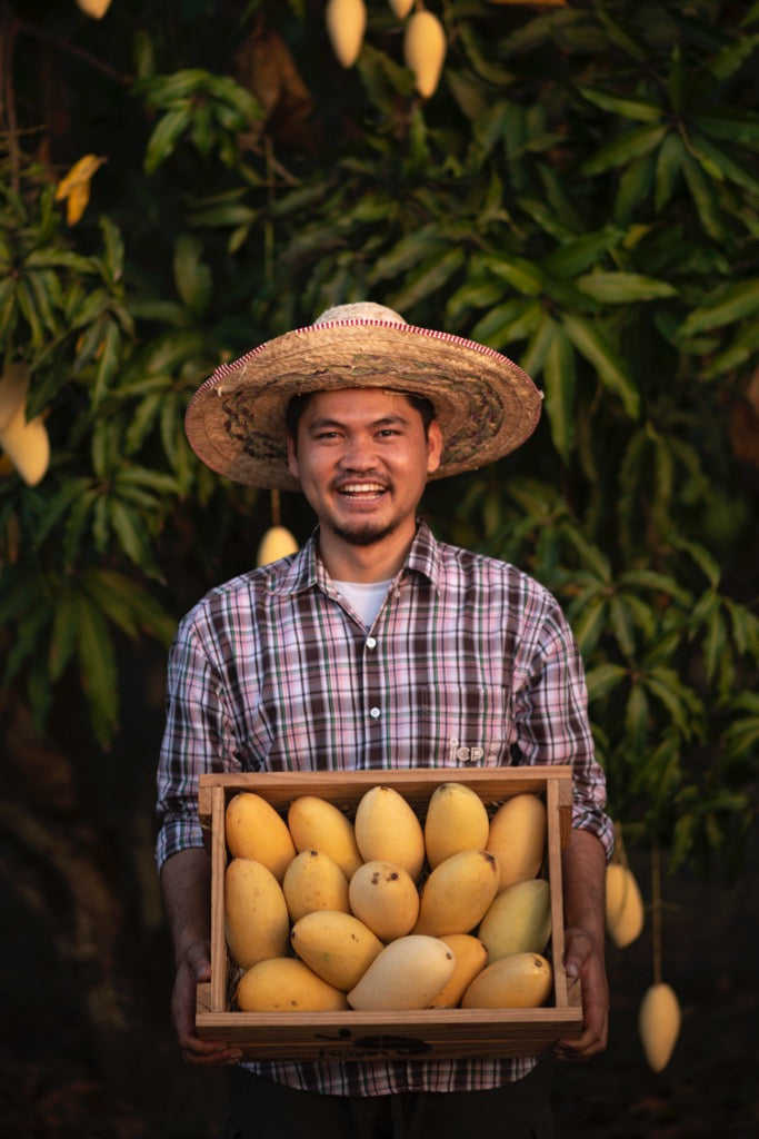 Thai Mangos – Flavour Symphonies